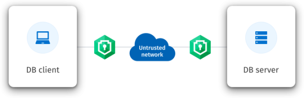 Oracle Data Access Components – R2 Data Technology